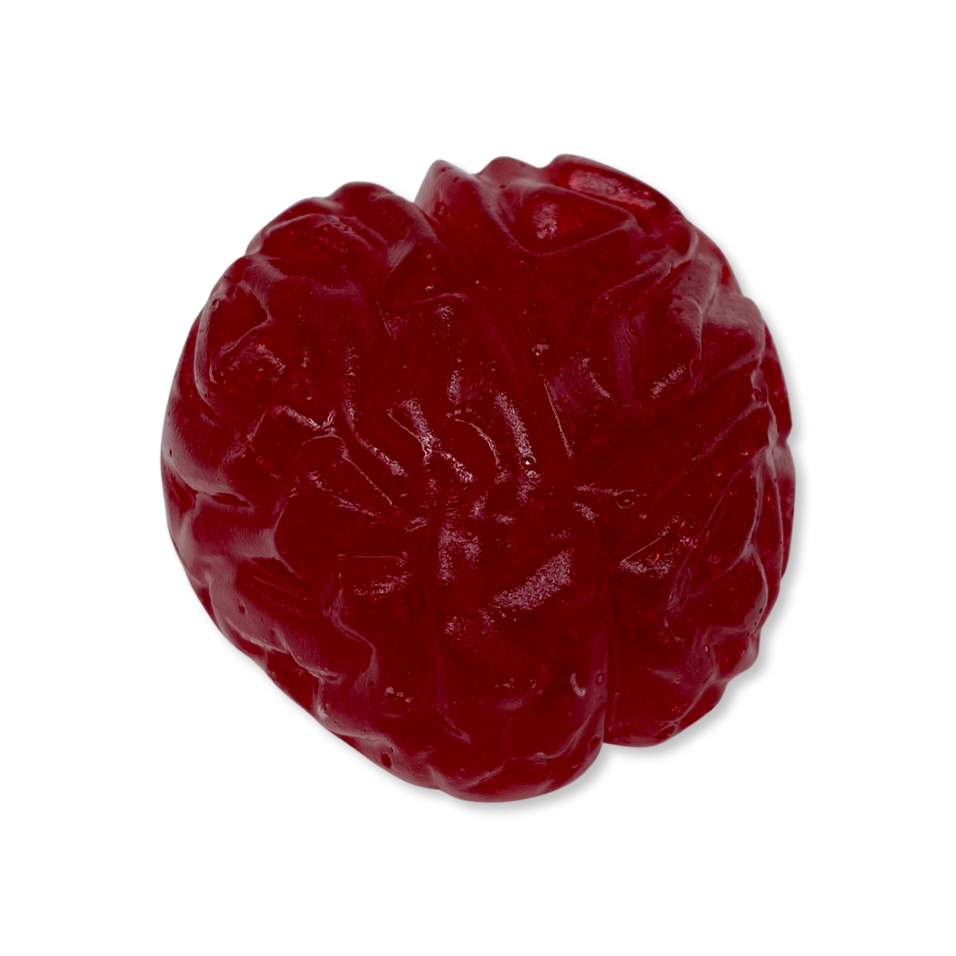 Braaains! Jelly Soap – Celine XO